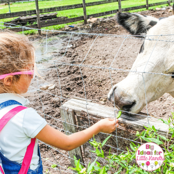 Fun With Community Helpers: 7 Engaging Ideas Your Students Will Love ...