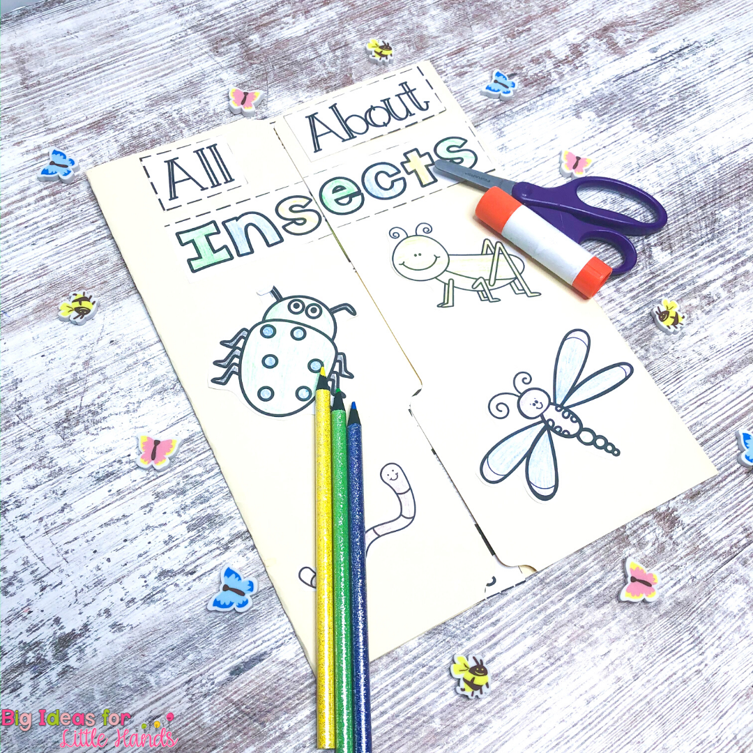 5 Fun Insect Activities for Primary Students - Big Ideas for Little Hands