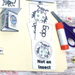 5 Fun Insect Activities for Primary Students - Big Ideas for Little Hands