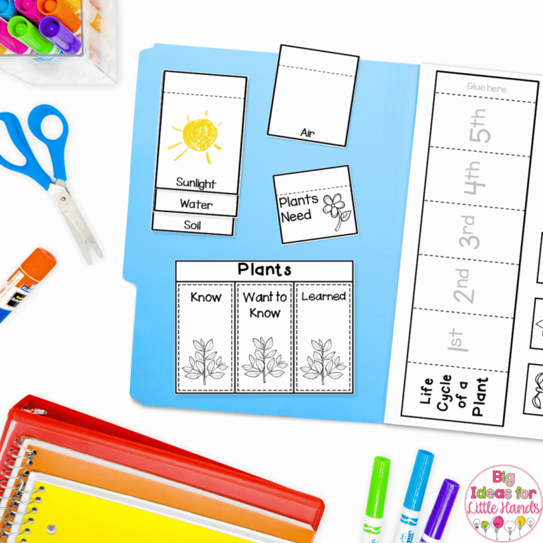 8 Kindergarten Plant Activities for a Fun Spring Lapbook - Big Ideas ...