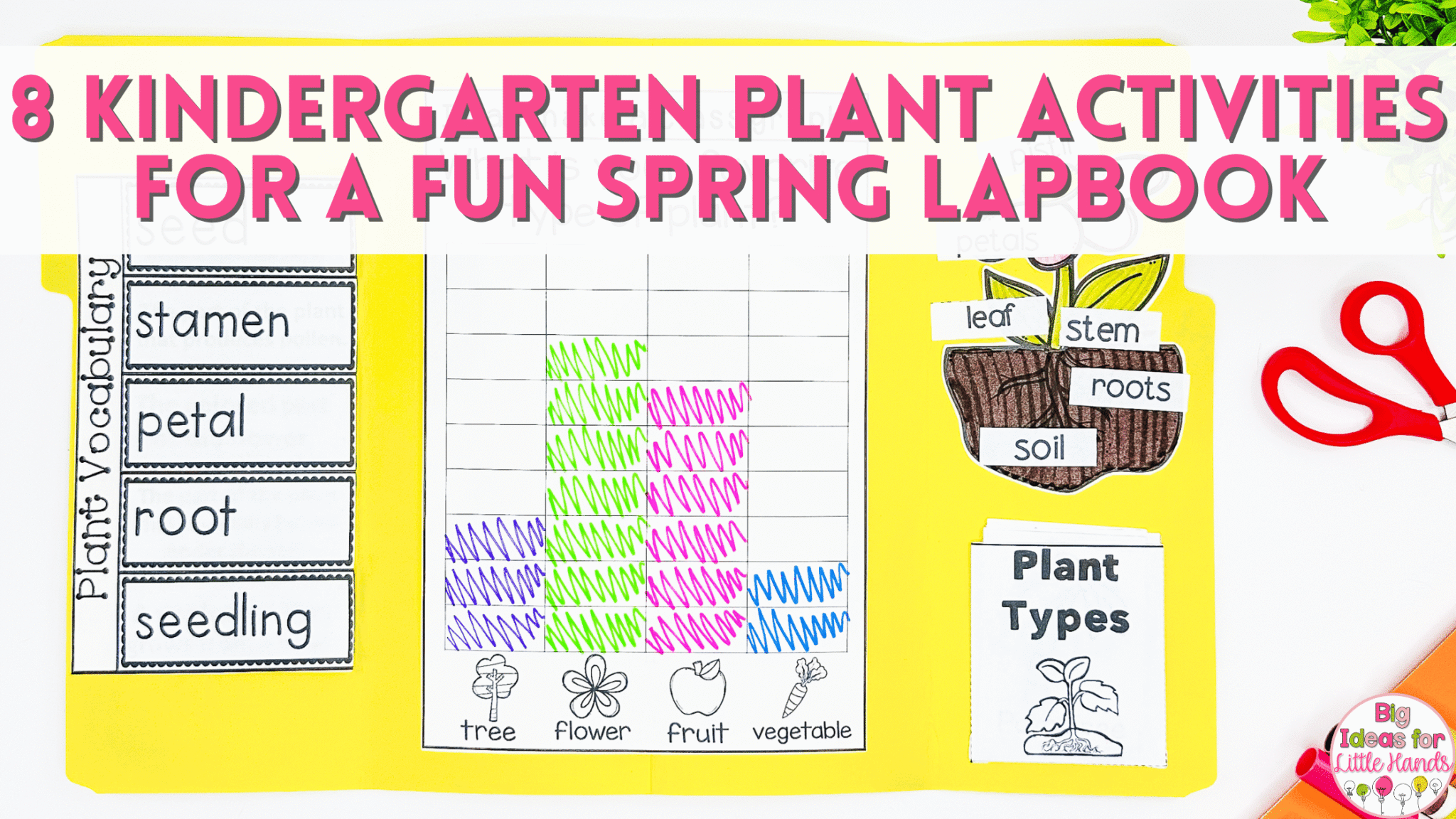 8 Kindergarten Plant Activities for a Fun Spring Lapbook - Big Ideas ...