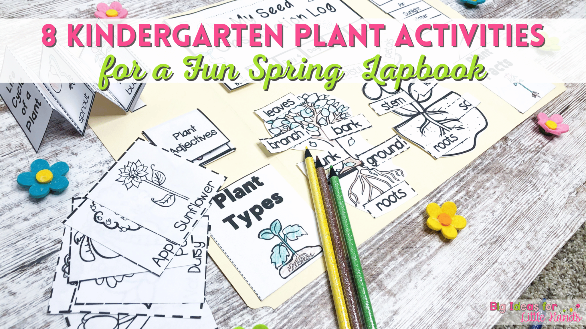 8 Kindergarten Plant Activities for a Fun Spring Lapbook - Big Ideas ...