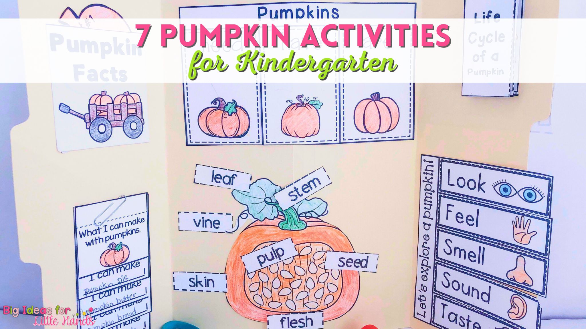7 Pumpkin Activities for Kindergarten - Big Ideas for Little Hands