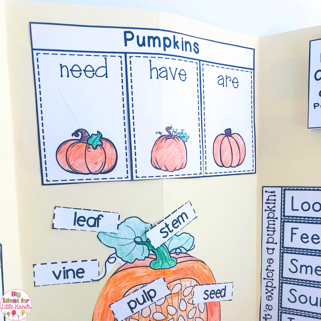 7 Pumpkin Activities for Kindergarten - Big Ideas for Little Hands