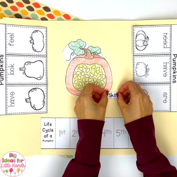 7 Pumpkin Activities for Kindergarten - Big Ideas for Little Hands
