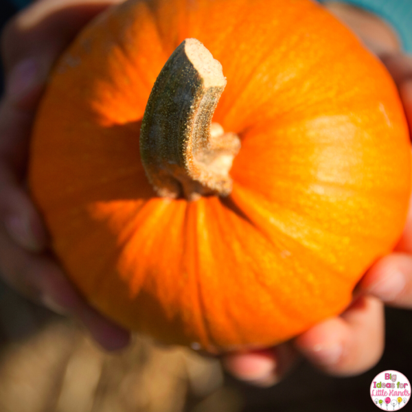7 Pumpkin Activities for Kindergarten - Big Ideas for Little Hands