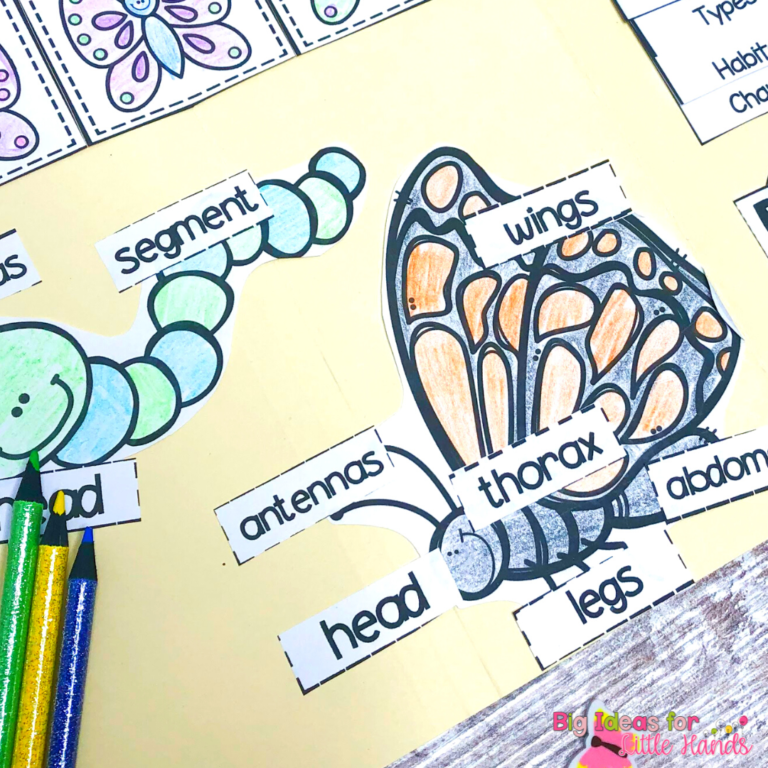 5 Fun Butterfly Research Activities for Kindergarten - Big Ideas for ...