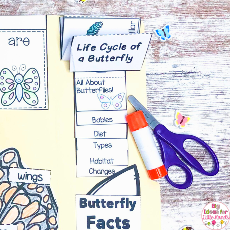 5 Fun Butterfly Research Activities for Kindergarten - Big Ideas for ...