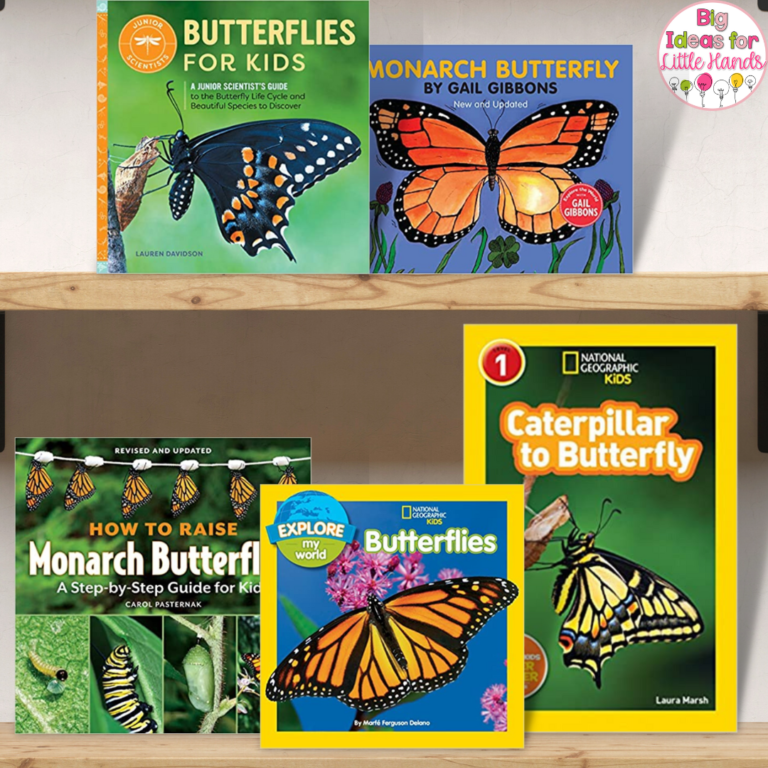 5 Fun Butterfly Research Activities for Kindergarten - Big Ideas for ...