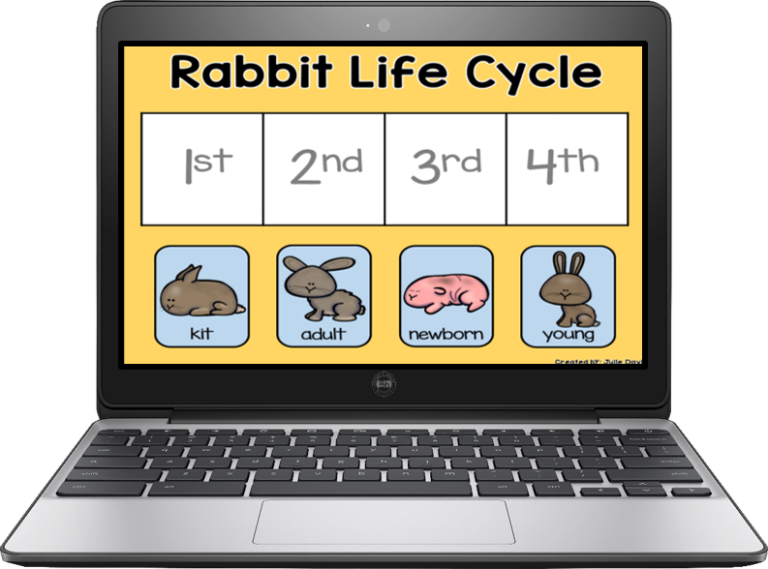 Easter Rabbit Digital Interactive Notebook Google Classroom - Big Ideas ...