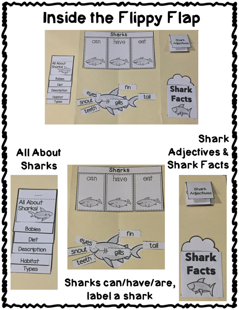 FREEBIE Shark Activities Interactive Notebook Lapbook - Big Ideas for ...