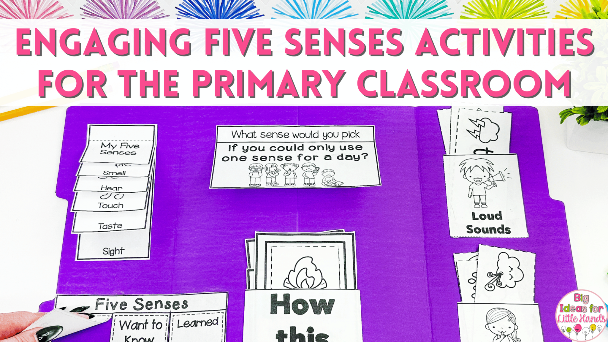 Engaging Five Senses Activities for the Primary Classroom - Big Ideas ...