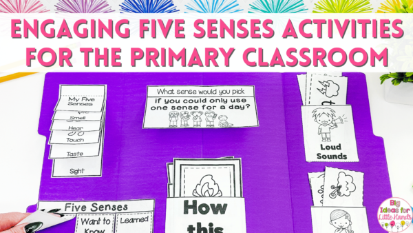 Engaging Five Senses Activities for the Primary Classroom - Big Ideas ...